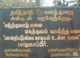 Welcome to Marunthuvazhmalai :: marunthuvazh malai , mooligai malai ...