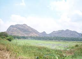 Welcome to Marunthuvazhmalai :: marunthuvazh malai , mooligai malai ...
